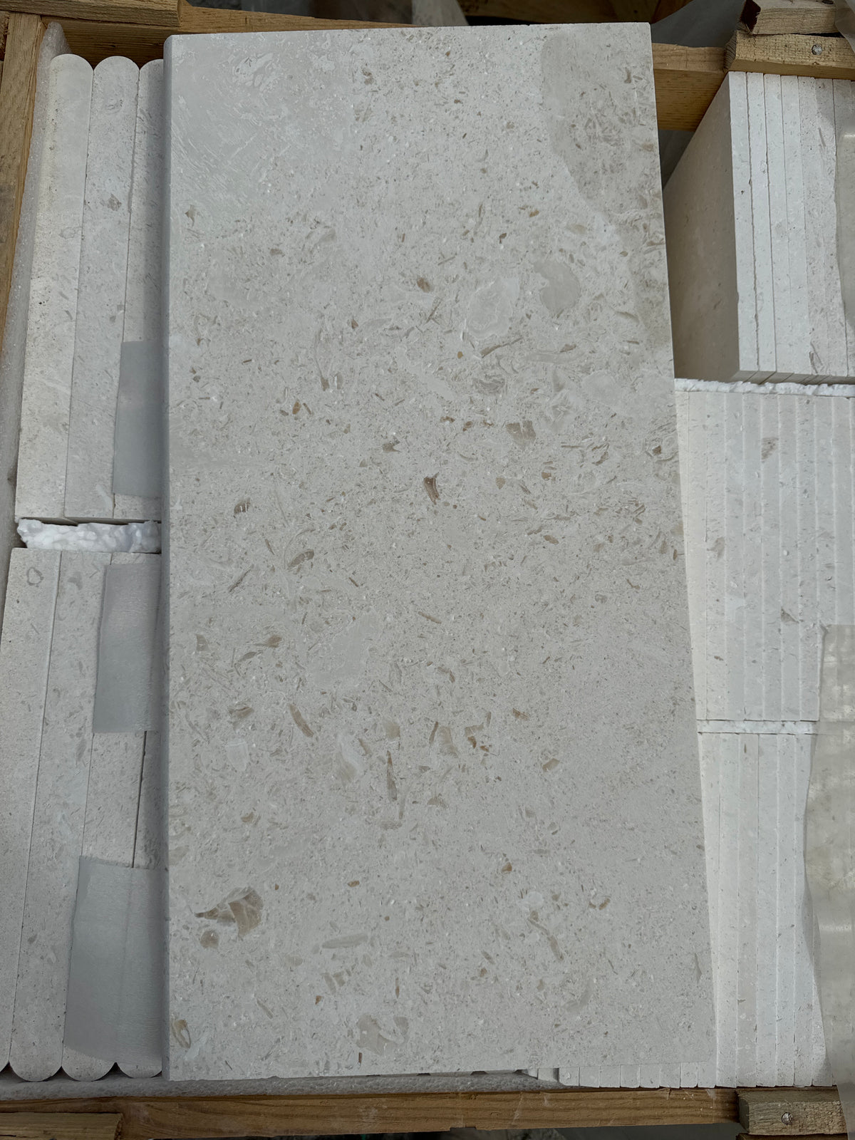 Turkish Shell Limestone Brushed Bullnose Coping